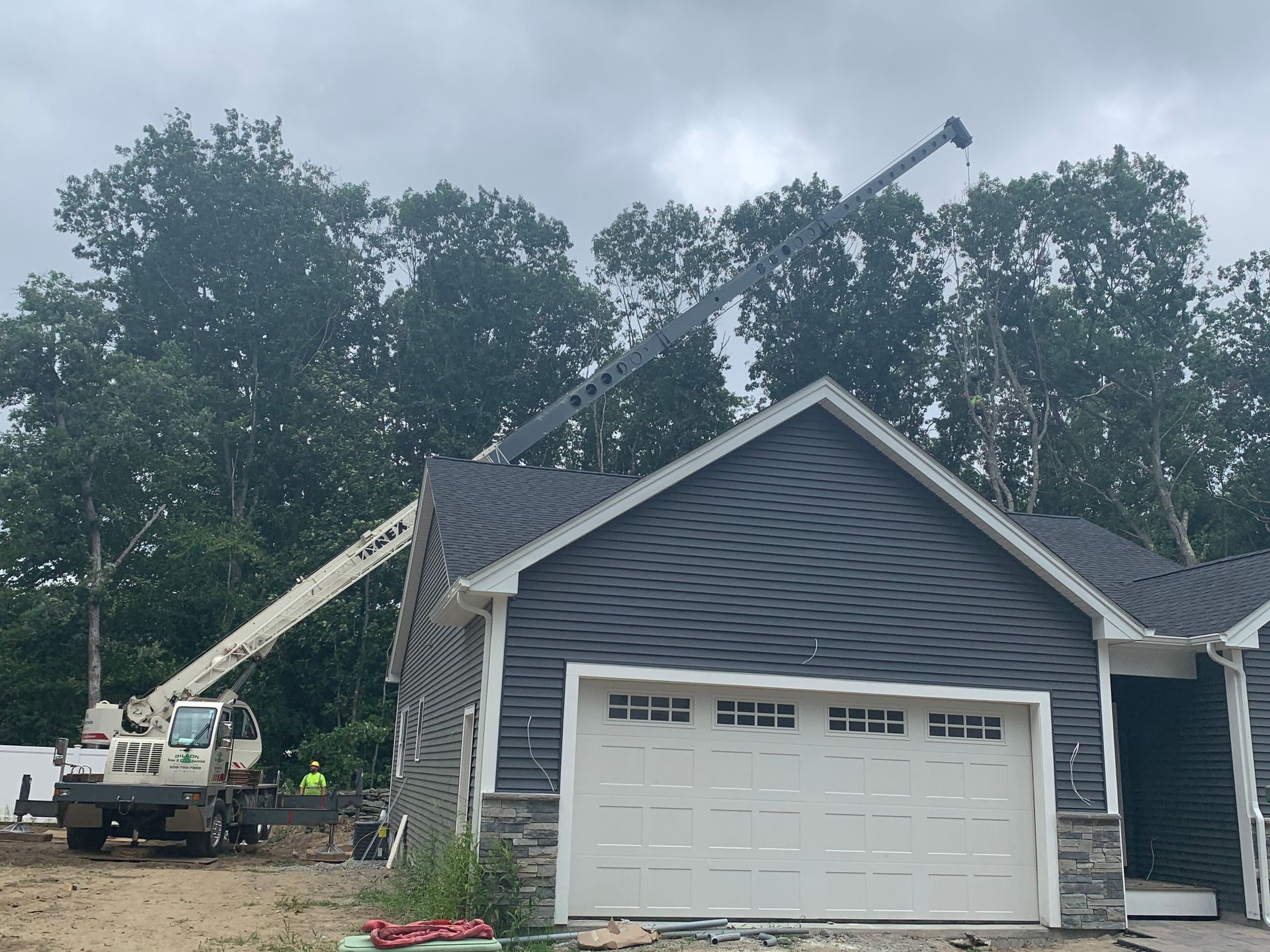 Project Gallery | Dillon Tree Service