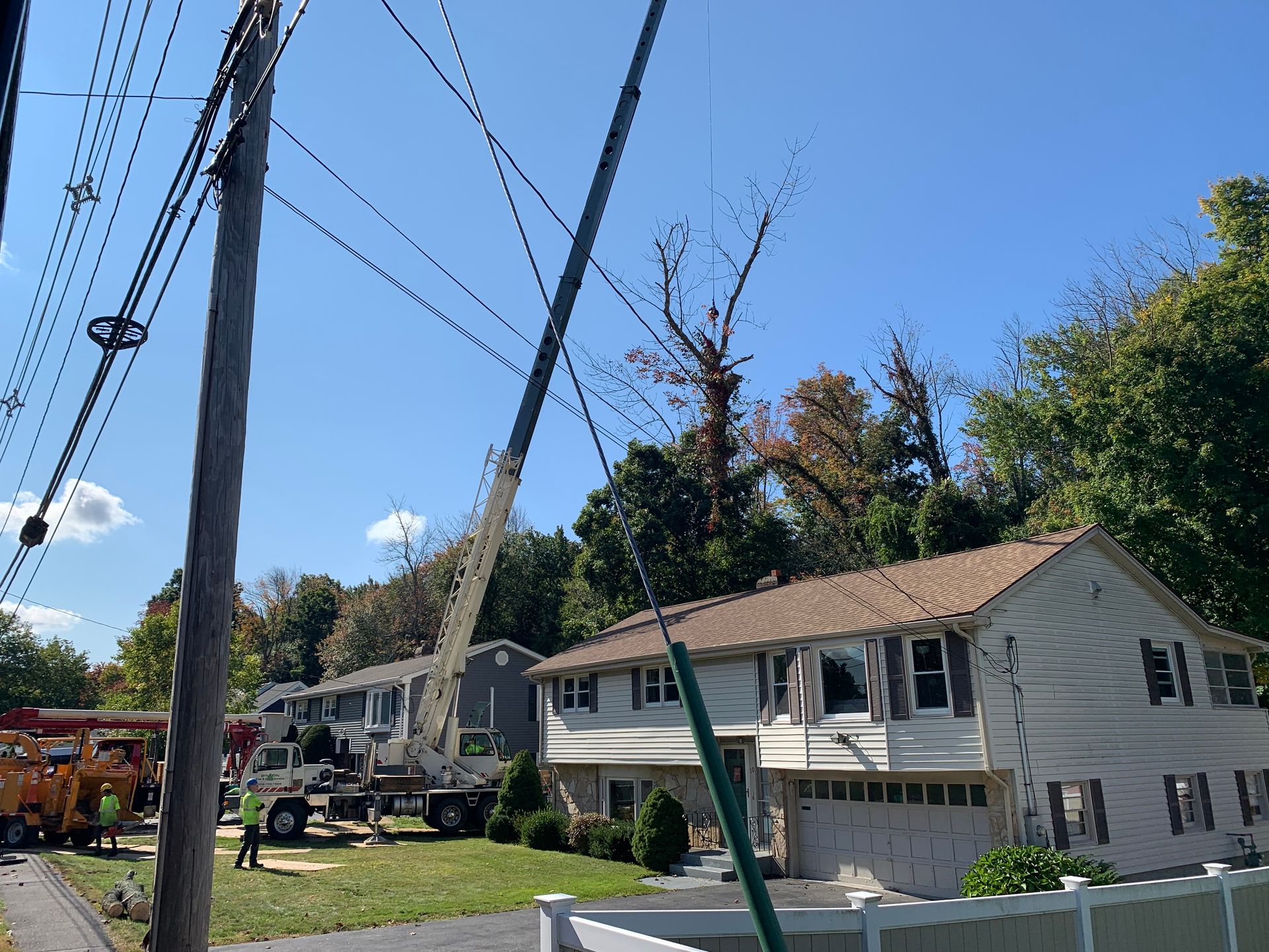 Project Gallery | Dillon Tree Service