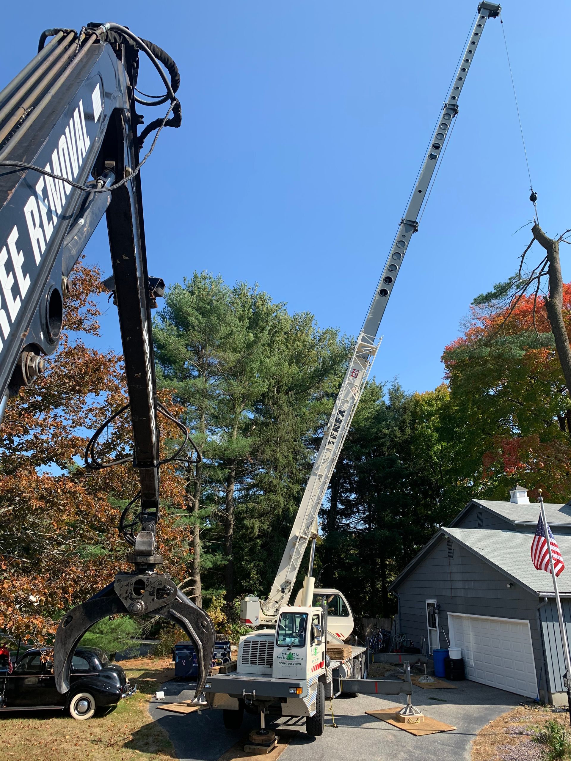 Project Gallery | Dillon Tree Service
