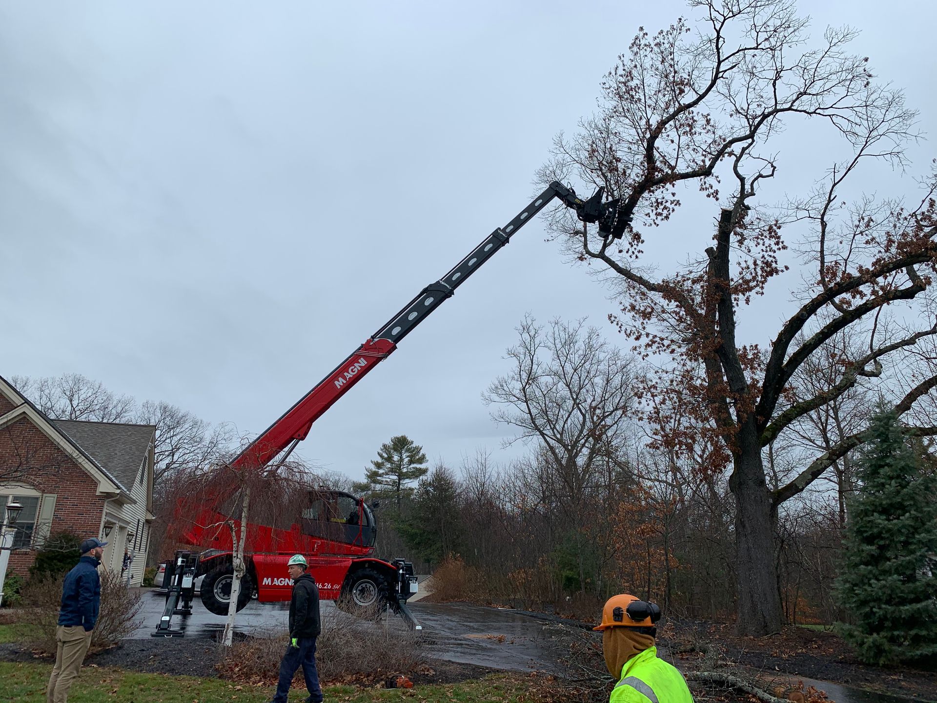 Project Gallery | Dillon Tree Service