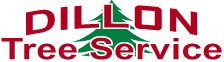 Request an Estimate | Dillon Tree Service