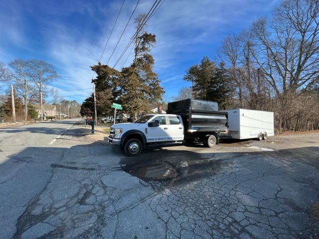 Gallery | Mike & Mike's Tree Service