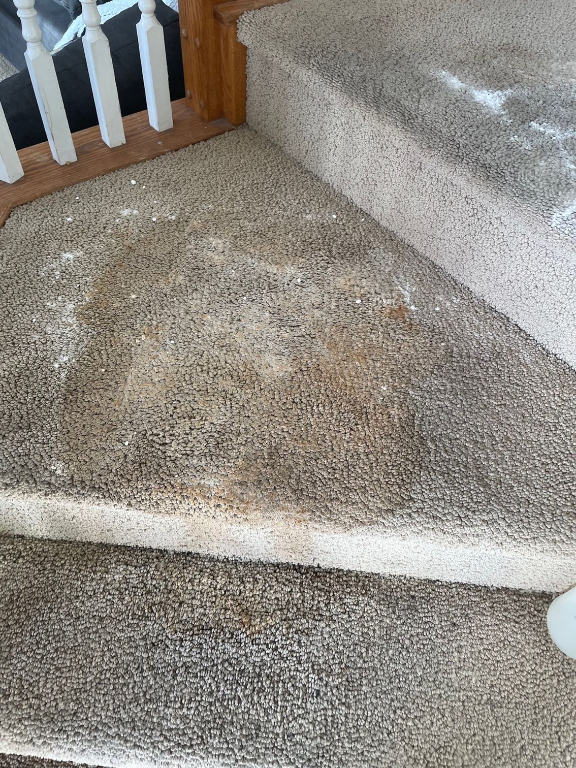 Gallery | DanCare Carpet Cleaning Inc | Albuquerque, NM, Grout