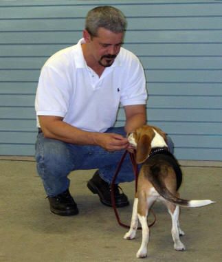 About American Alpha K9 Training | Cohasset, MA