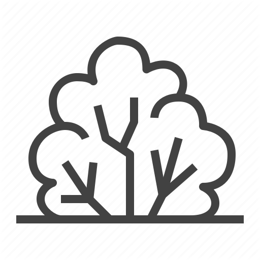 Bentley Ridge Tree Farm & Nursery