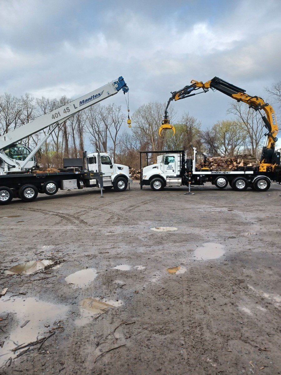 Tree Pruning and Removal | Stump Removal | Albany, NY