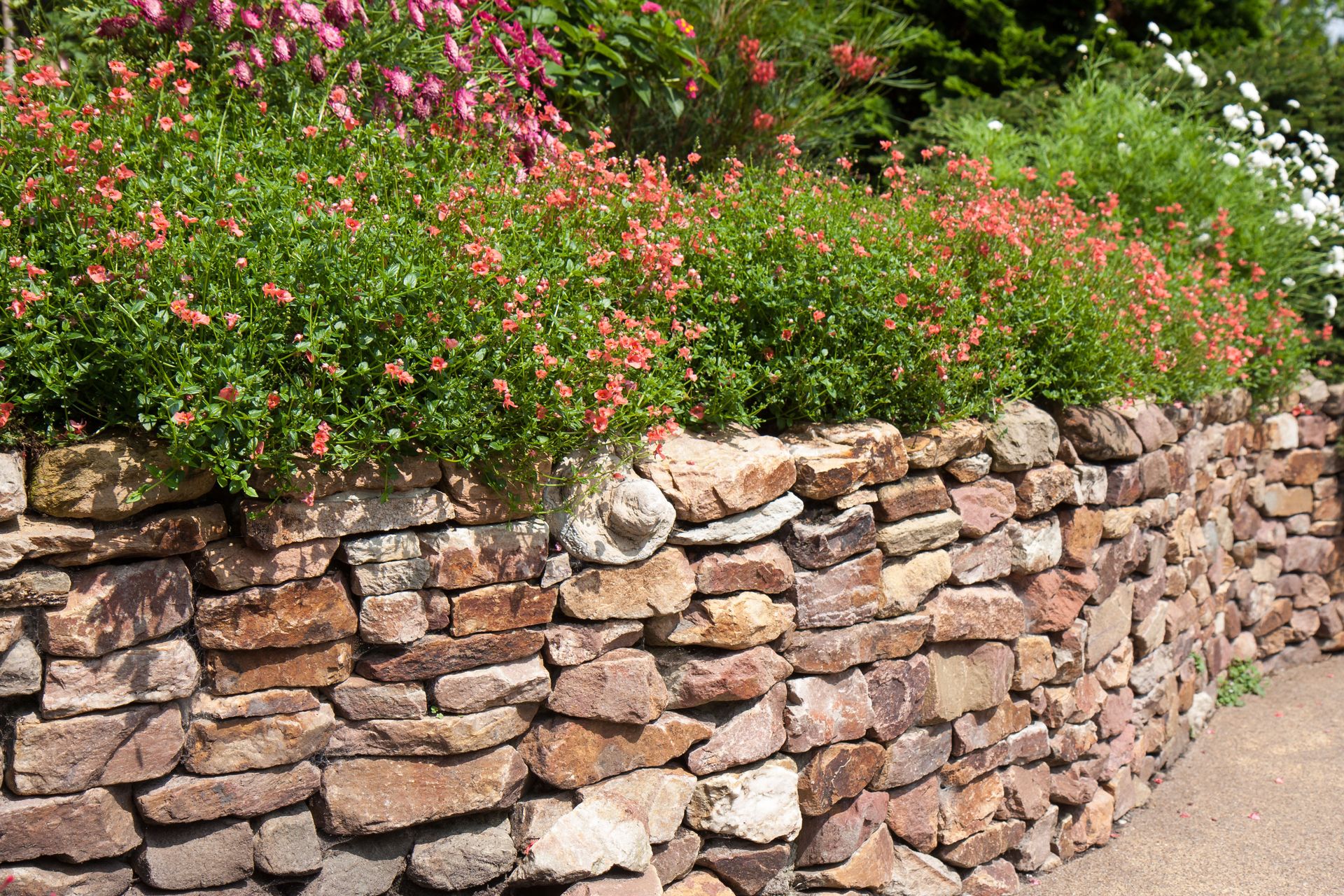 Landscaping Contractors Hillsdale | Conti Landscape Design