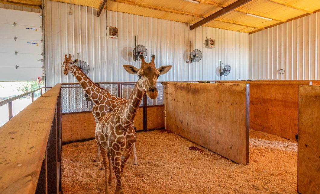 Hunting Lodge | G2 Ranch