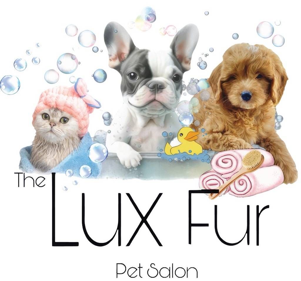 Pet Groomer St Charles, MO | Lux Fur Pet Salon