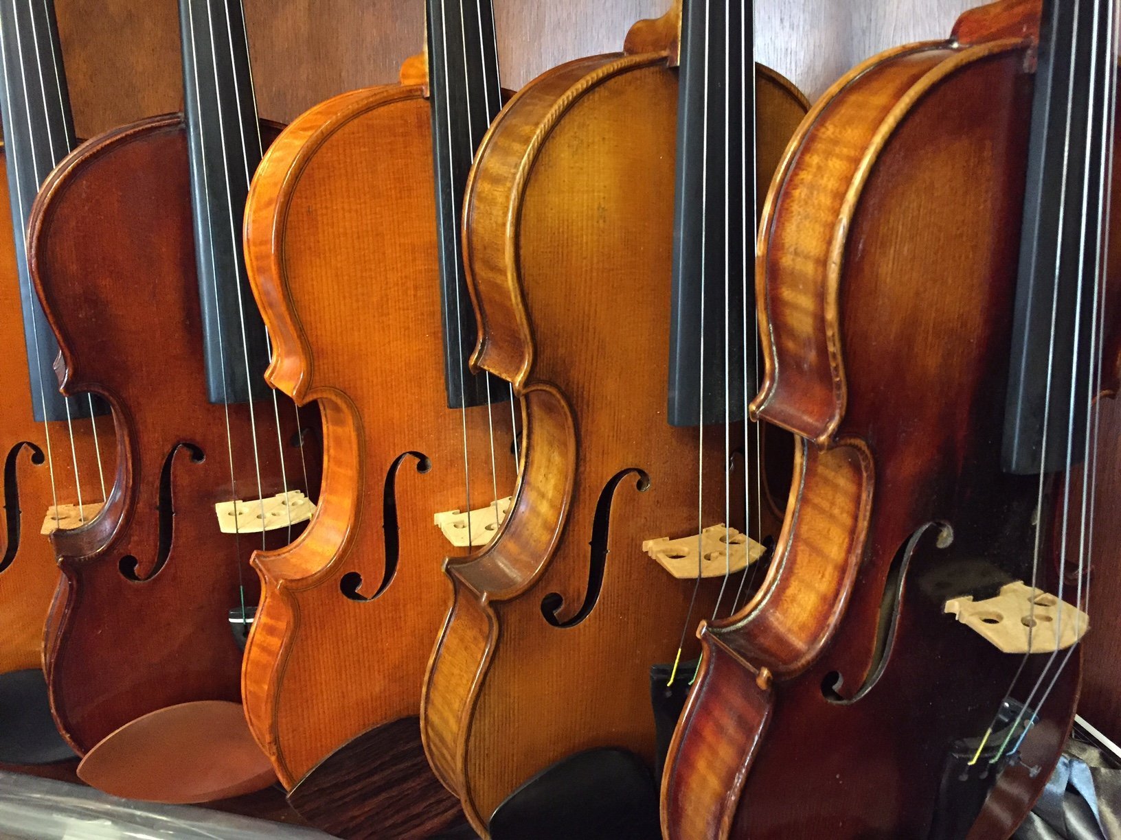 Segel Violins LLC | Music Store | Troy, NY