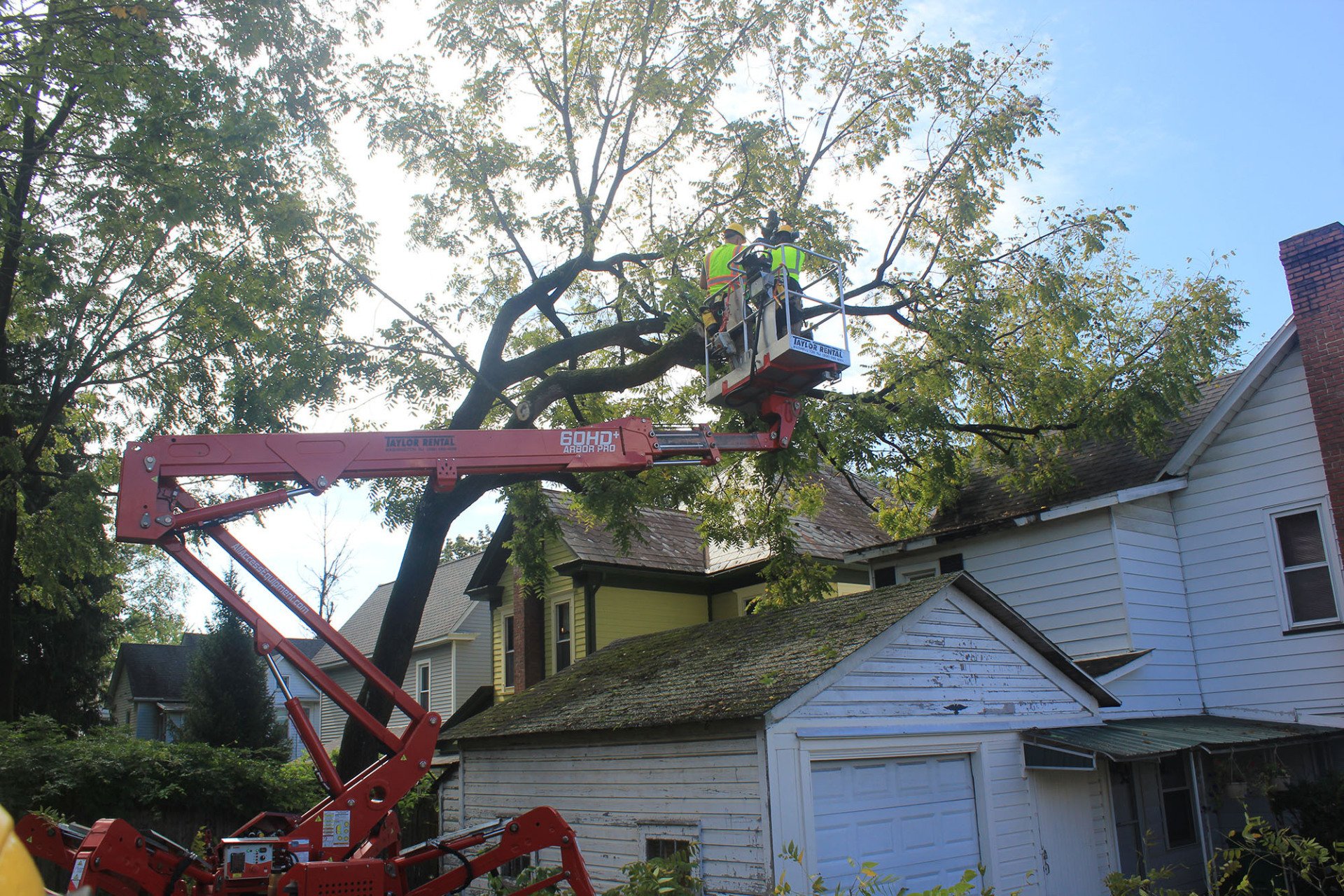 Backwoods Tree Service | Arborist | Stroudsburg, PA