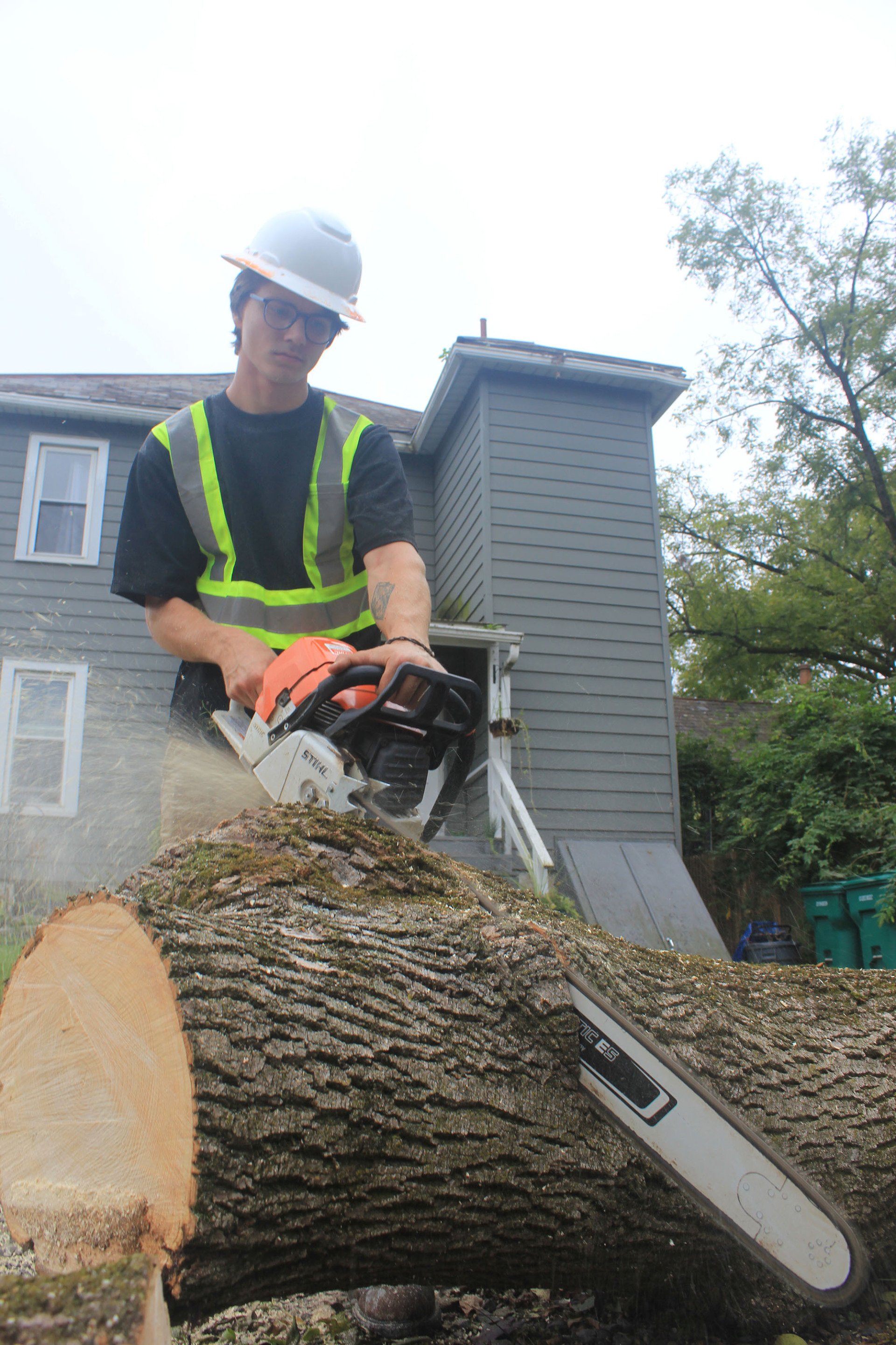 Backwoods Tree Service | Arborist | Stroudsburg, PA