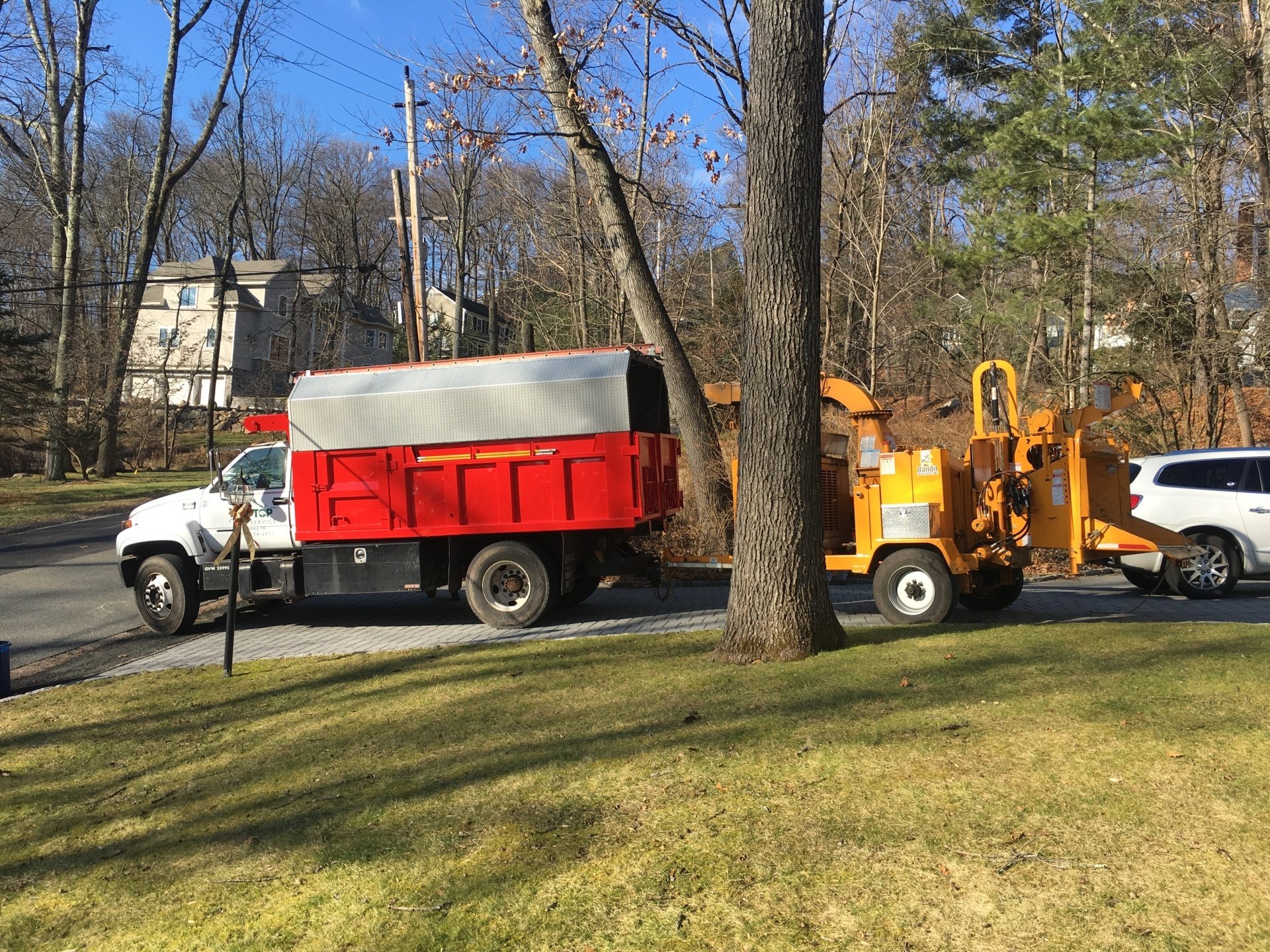 Tip Top Tree Service Photo Gallery | Towaco, NJ