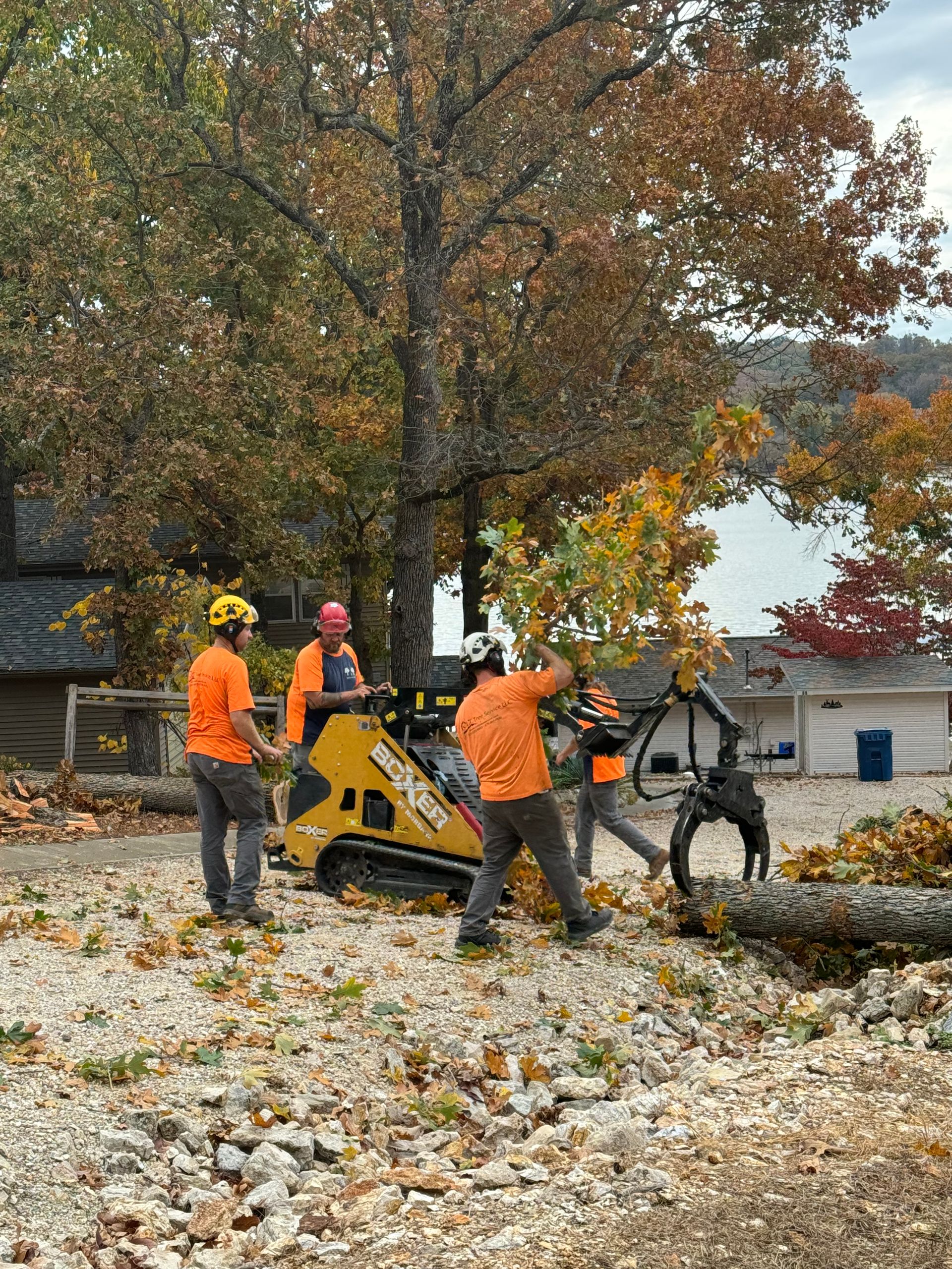 Colt Tree Service | Tree Services | Camdenton, MO