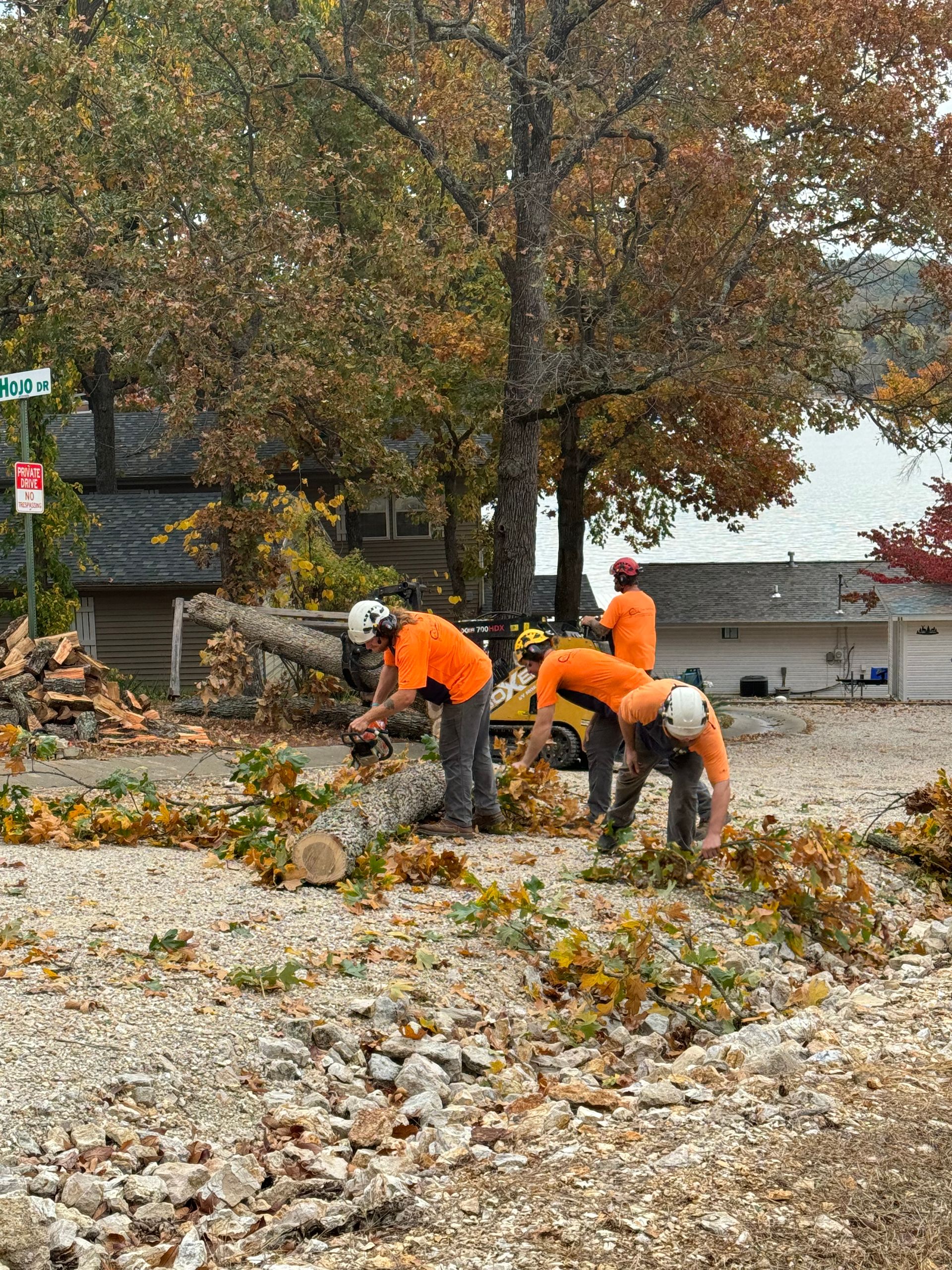 Colt Tree Service | Tree Services | Camdenton, MO
