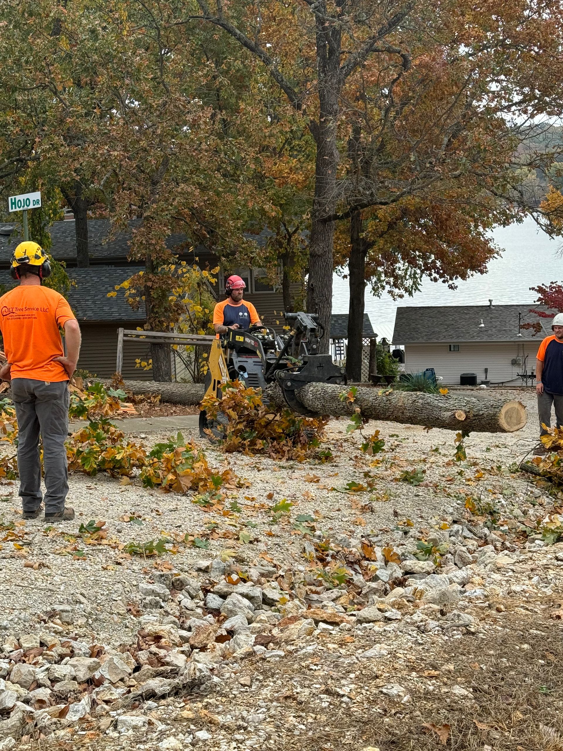 Colt Tree Service | Tree Services | Camdenton, MO