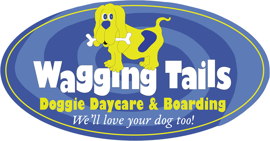 Wagging Tails Doggie Daycare & Boarding | Atlanta, GA