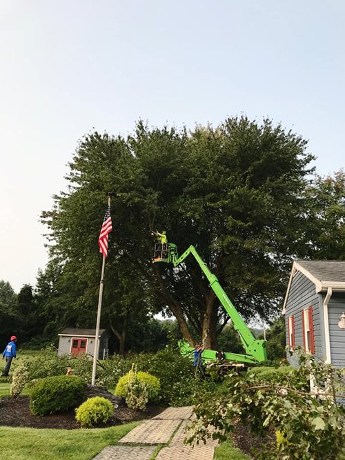 Southern End Tree Service | Tree Service | Lancaster | West Chester PA