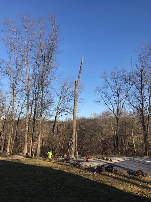 Southern End Tree Service Photo Gallery | Lancaster | West Chester PA