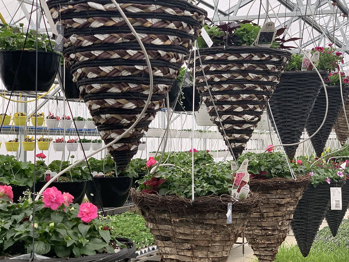 Graber's Greenhouse Photo Gallery | Sullivan, IL