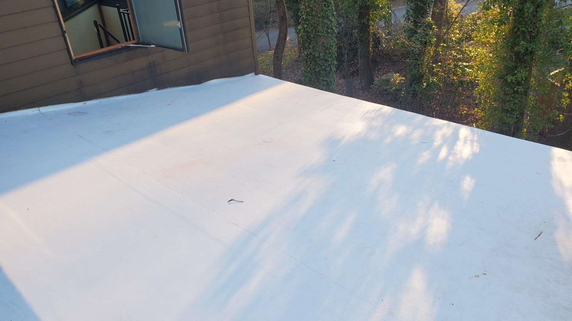 Project Gallery | Advanced Building Services.