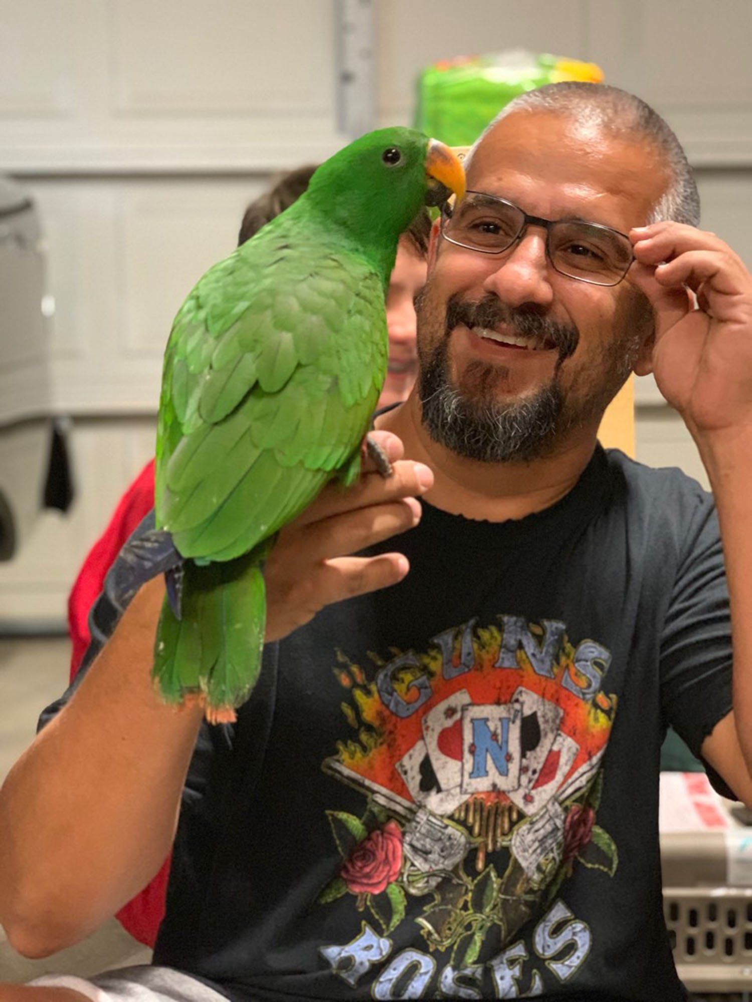 Eclectus Parrot Photo Gallery | Solely Solomon Aviaries