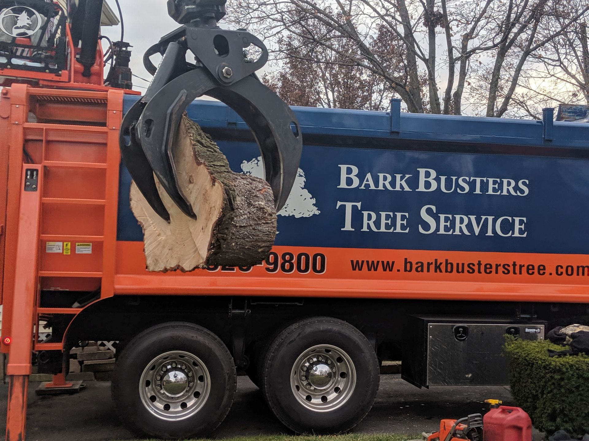 Tree Management | Bark Busters Tree Service | Westwood, MA