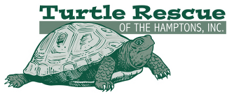 Turtle Rescue of the Hamptons, Inc. - Turtle Rescue | Jamesport, NY