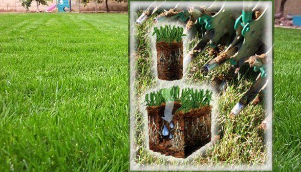 Lawn Aeration and Over Seeding | Harrisburg, Mechanicsburg, PA