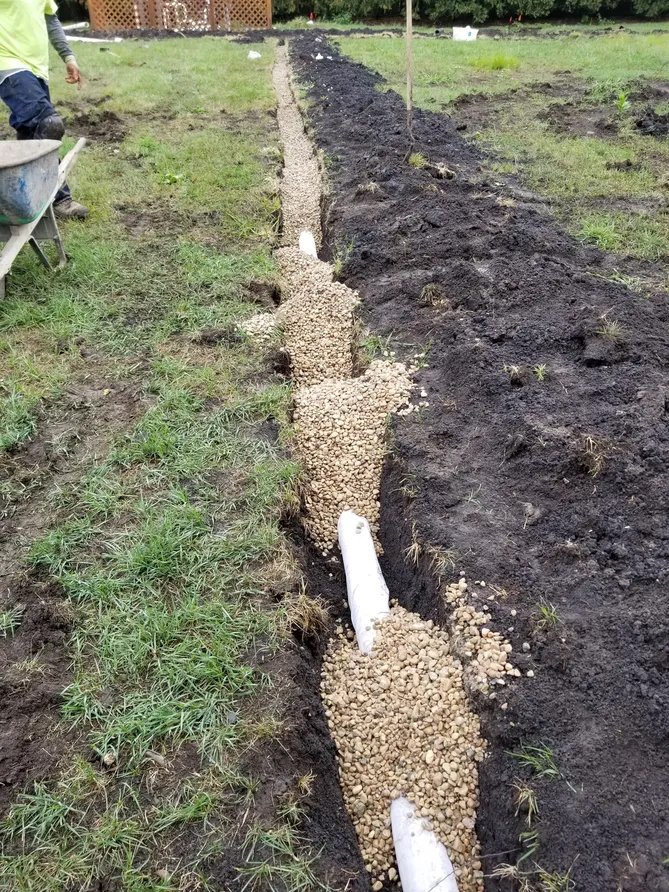 French and Yard Drainage Systems | Arlington Heights, IL