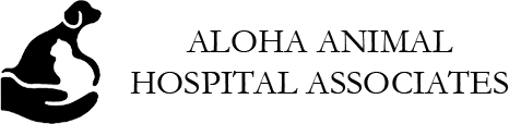 Aloha Animal Hospital Associates | Animal Hospital Honolulu