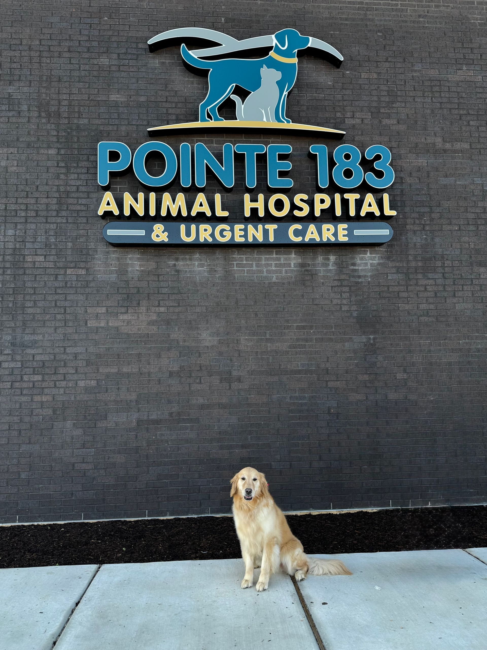 Veterinarian Leander, TX | Pointe 183 Animal Hospital