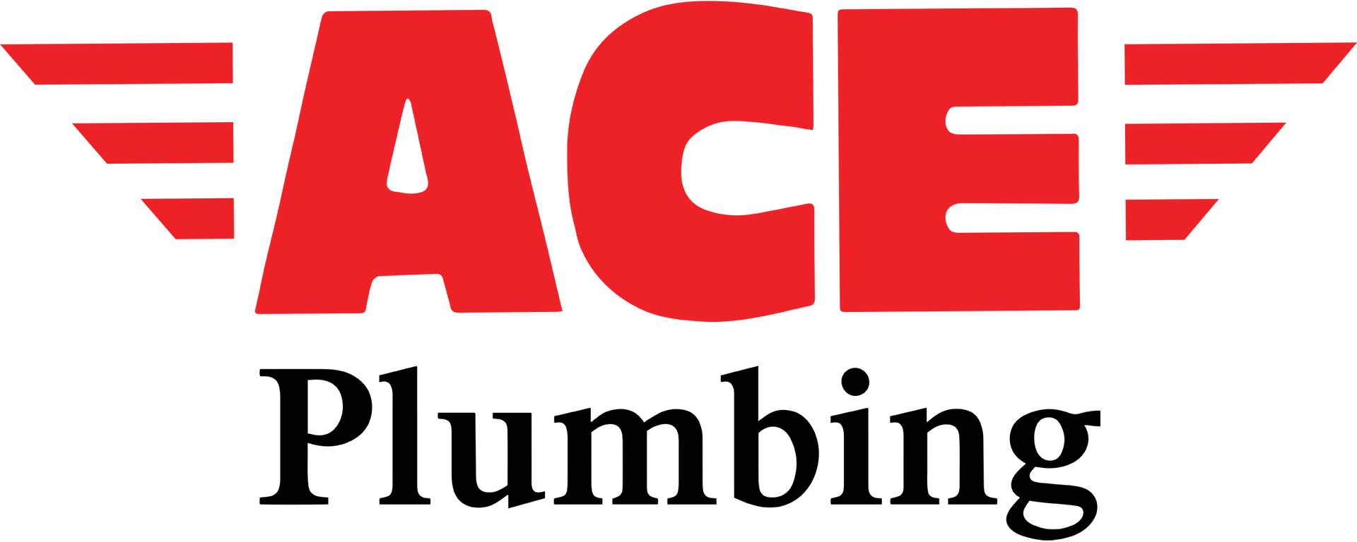 Plumber | Ft. Branch, IN | ACE Plumbing