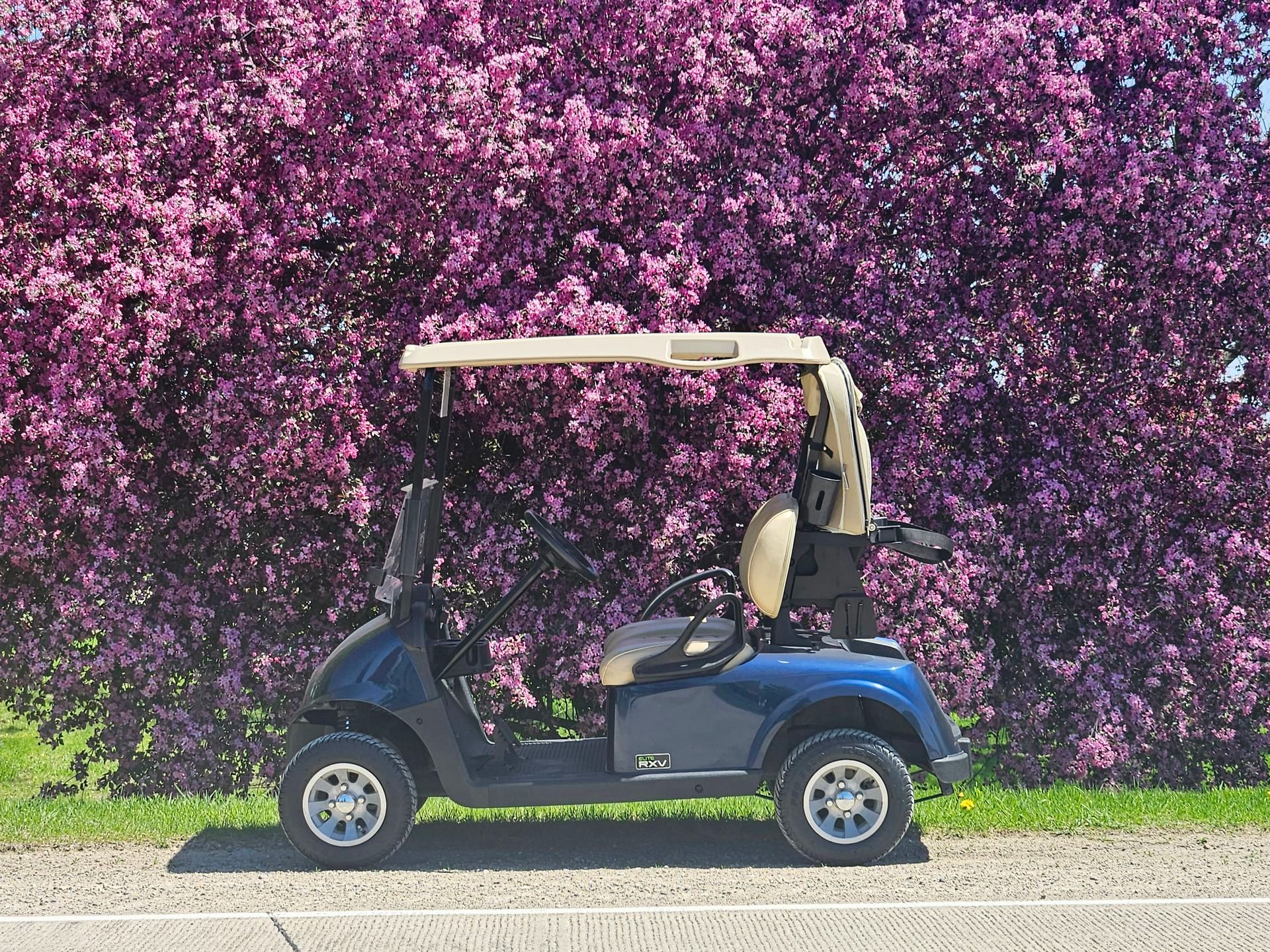 Used Golf Cars and Golf Car Sales | Britt, IA