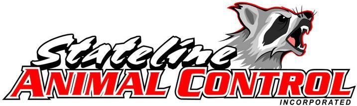 Wildlife Removal Kenosha, WI | Pleasant Prairie, WI