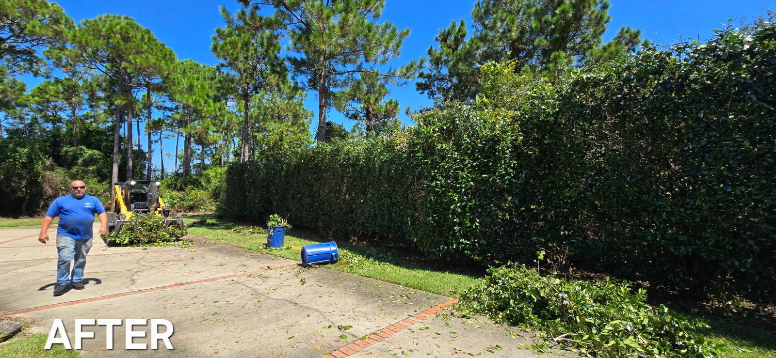 Project Gallery | Kodiak Tree Service | Valparaiso, FL