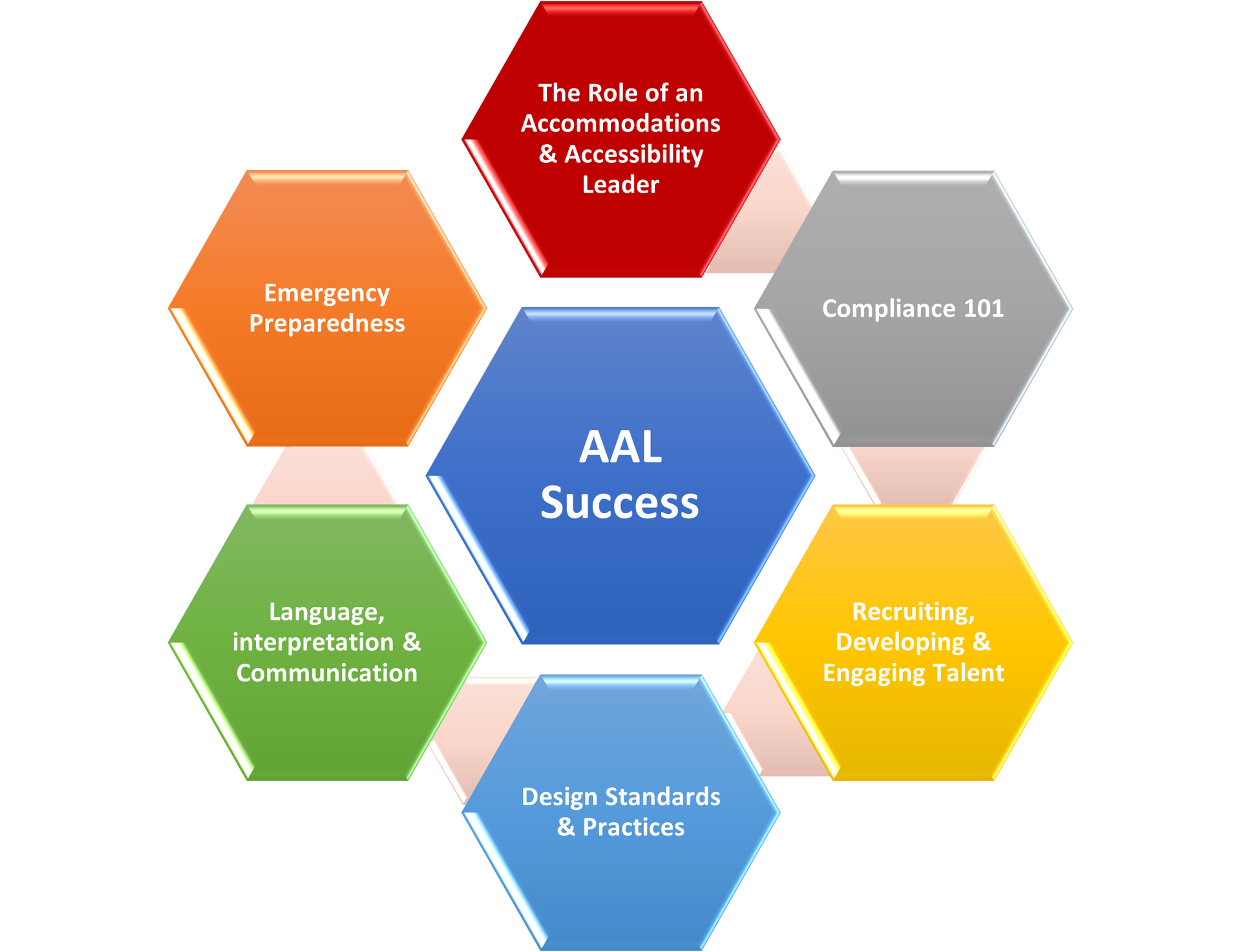 Accommodations & Accessibility Leadership (AAL) Program