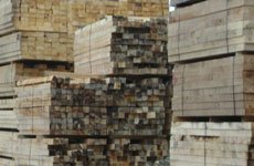 About Wappoo Wood Products Inc | Sidney, OH Custom Lumber