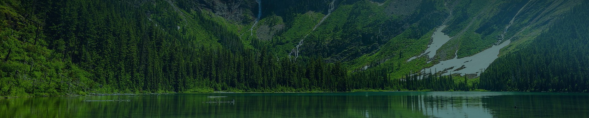 Tesla Light Therapy | Meditative Lights | Bozeman, MT