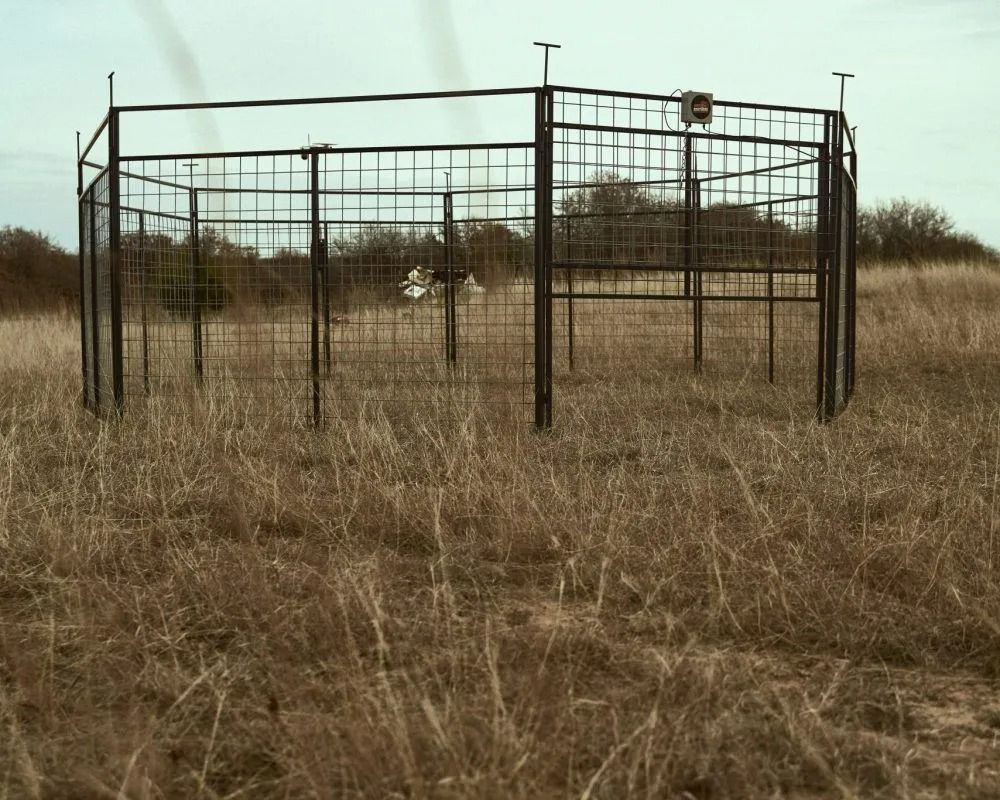 Hog Traps TX | Hog Brothers
