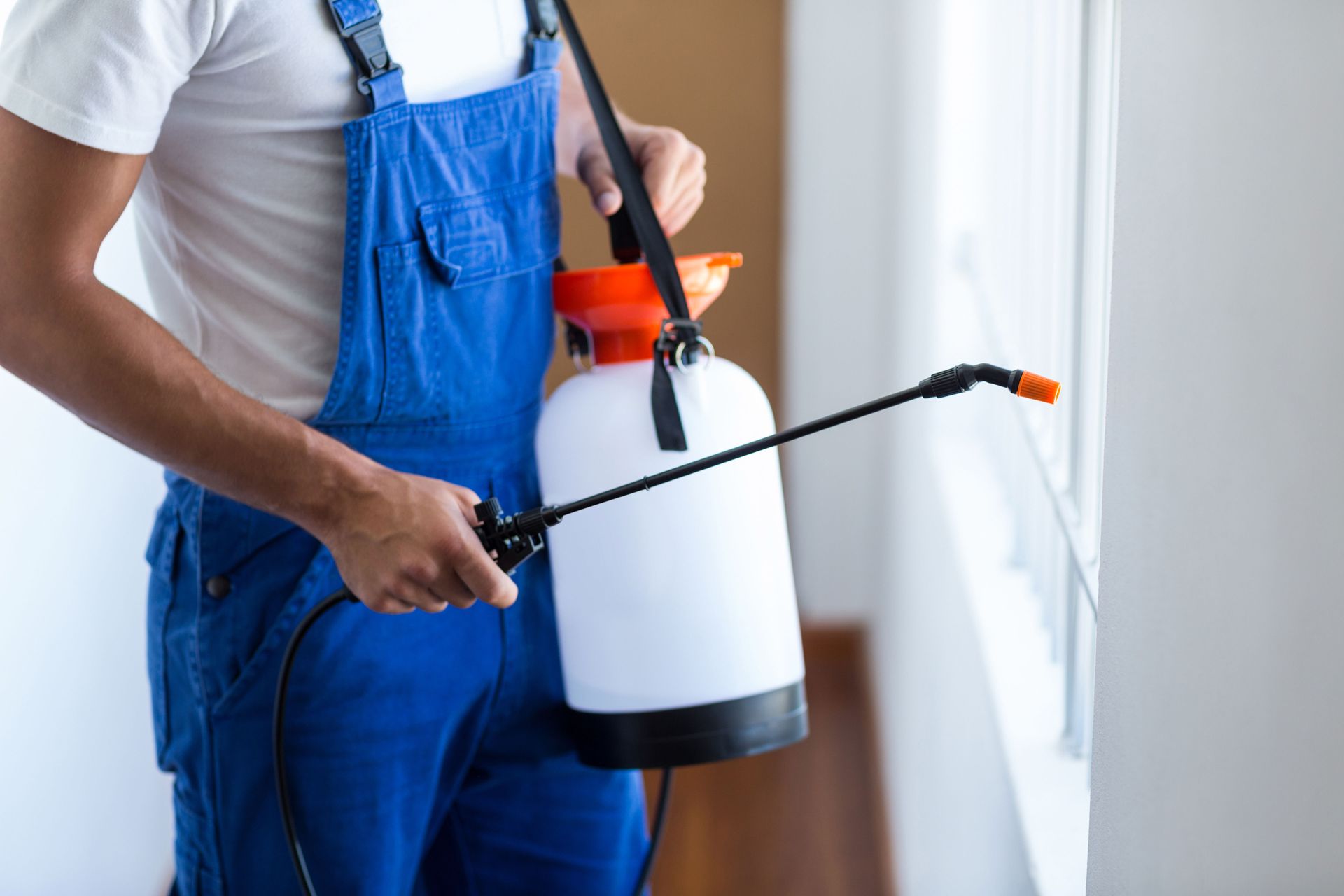 How to Vet a Local Pest Control Service for Eco-Friendly and Pet-Safe ...
