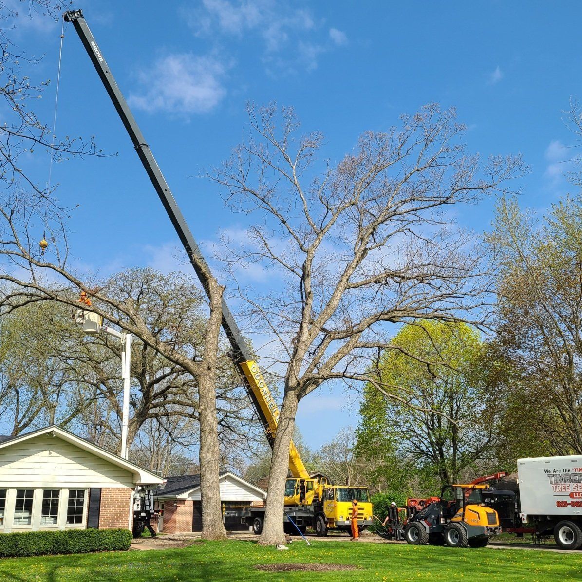 Tree Service | Rochelle, IL | Timbermen Tree Service