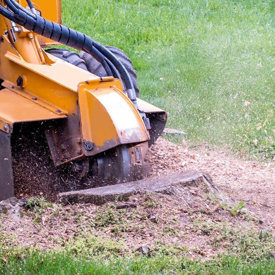 Tree Service | Rochelle, IL | Timbermen Tree Service