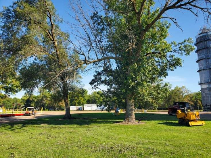 Tree Service | Rochelle, IL | Timbermen Tree Service