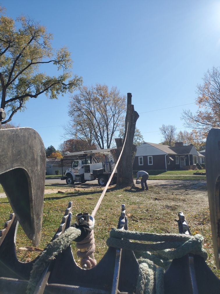 Tree Service | Rochelle, IL | Timbermen Tree Service