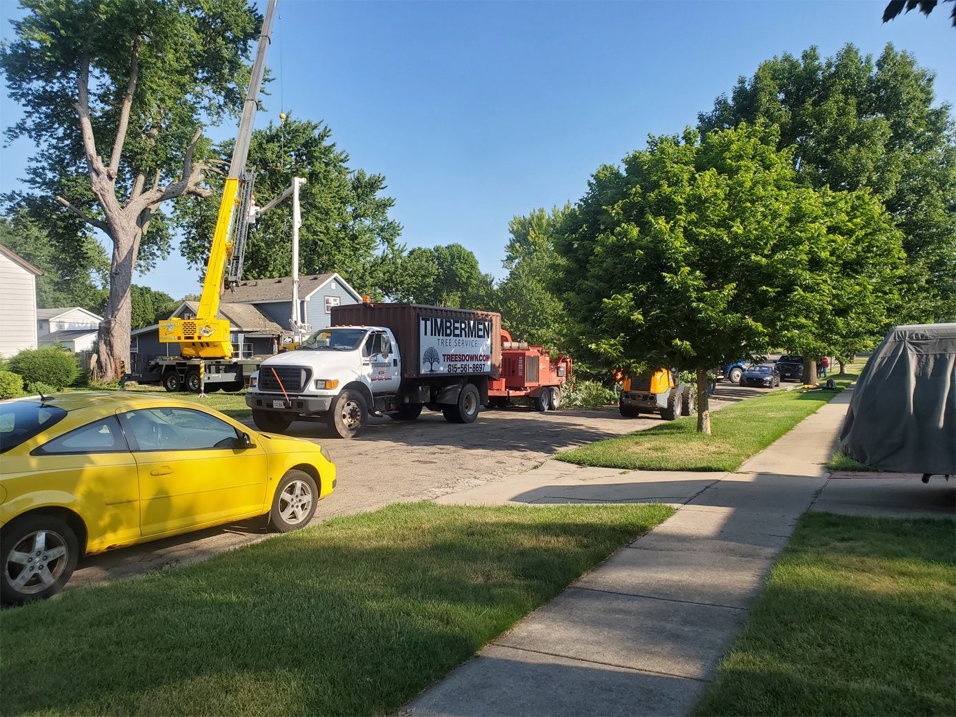 Tree Service | Rochelle, IL | Timbermen Tree Service