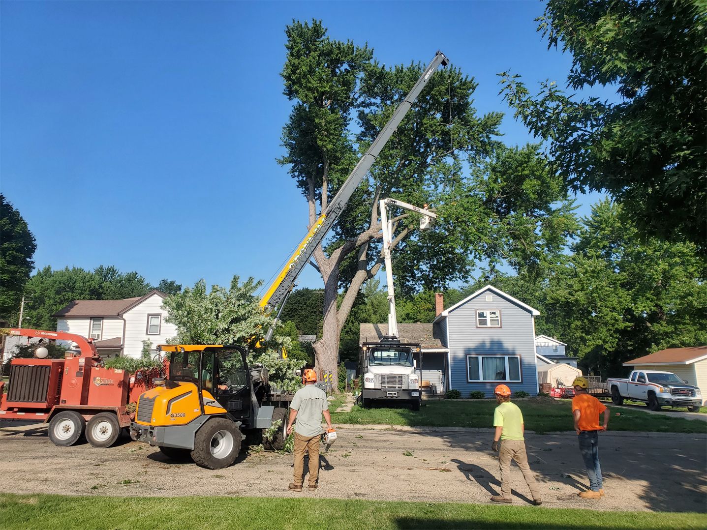 Tree Service | Rochelle, IL | Timbermen Tree Service