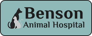 Veterinarian | Benson Animal Hospital | Benson, NC
