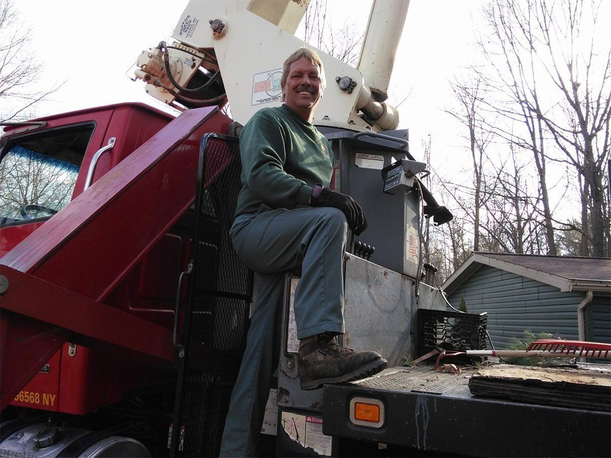 Gallery | Tree Masters | Saratoga County, NY, Warren County, NY, and ...