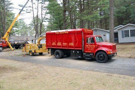 Gallery | Tree Masters | Saratoga County, NY, Warren County, NY, and ...